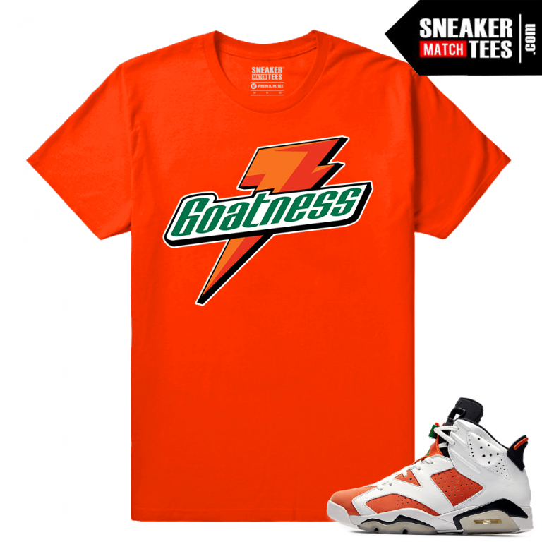 Jordan 6 Gatorade