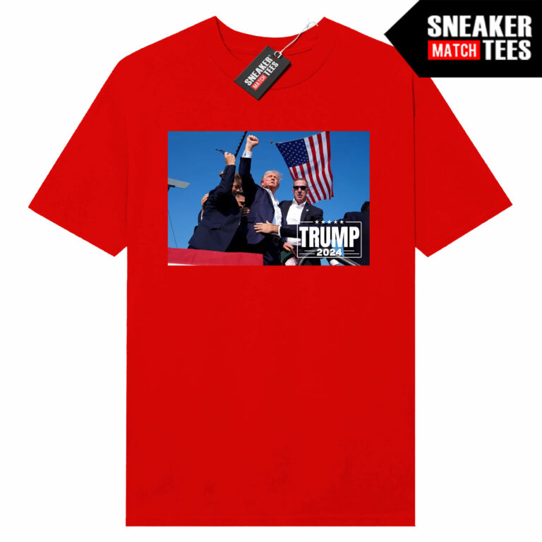 Sneaker Match Tees Clothing | Official T shirts to Match Jordan Sneakers