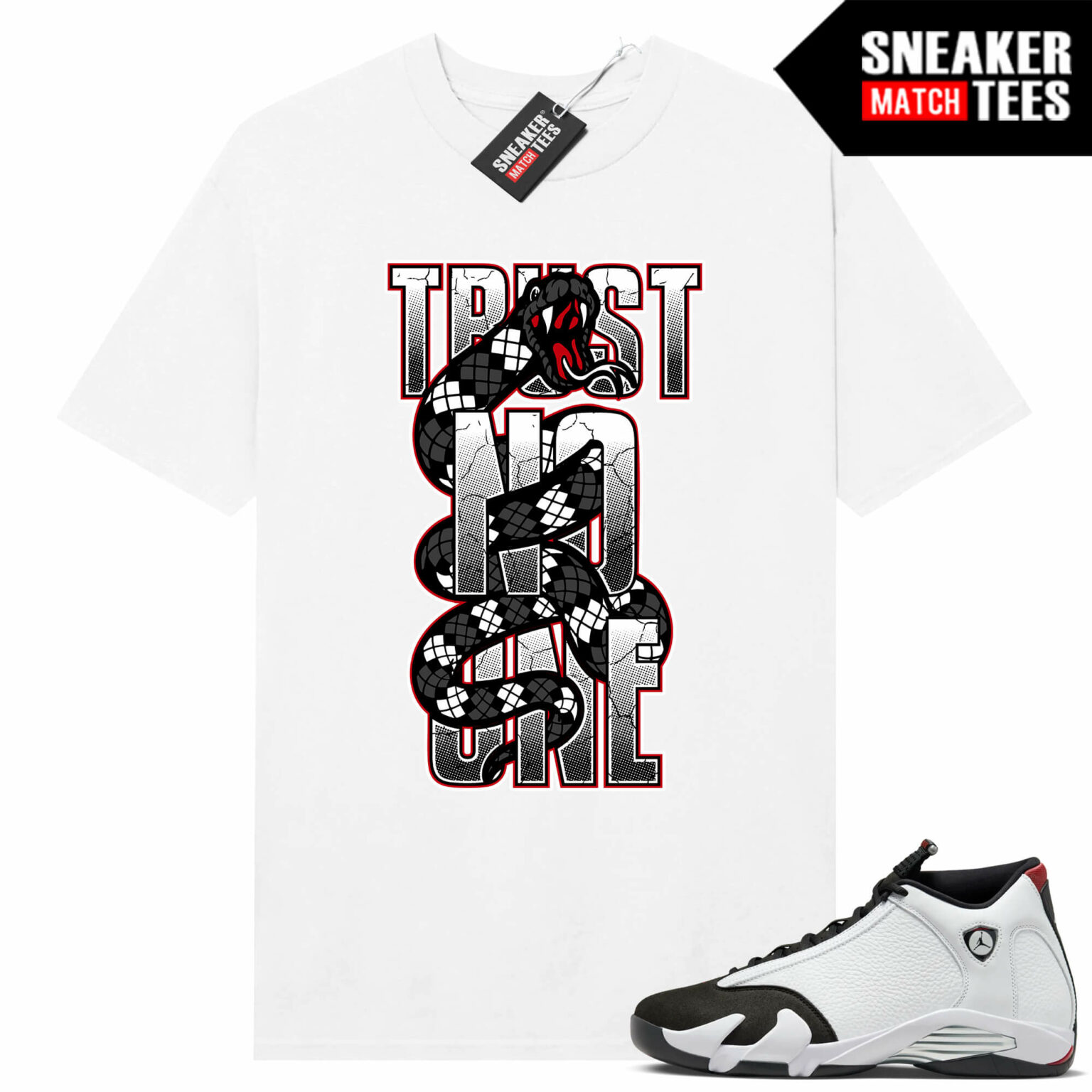 Sneaker Match Tees Clothing | Official T shirts to Match Jordan Sneakers