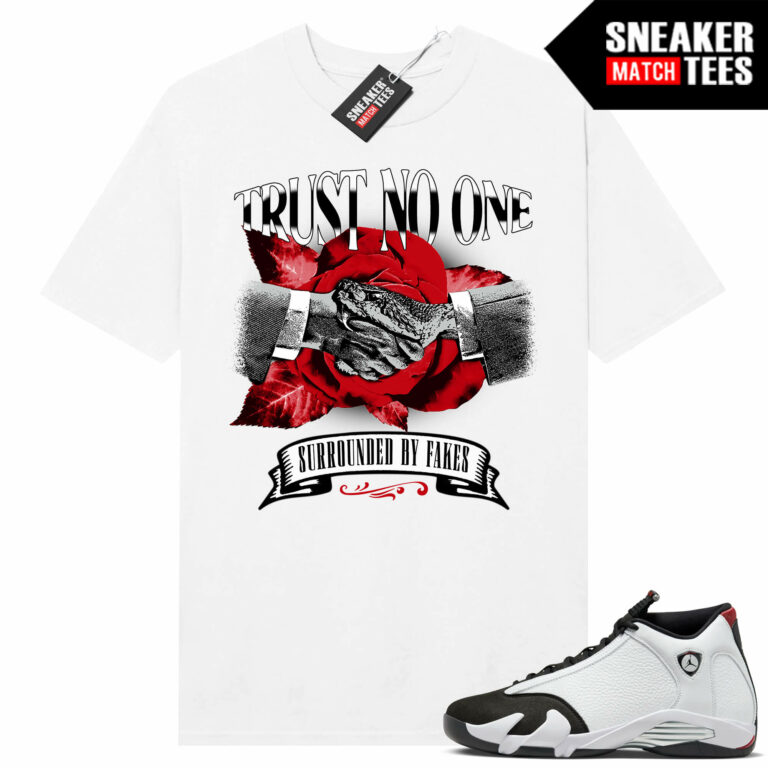 Sneaker tees - Shirts to match Jordans, Nike, and Yeezy sneakers