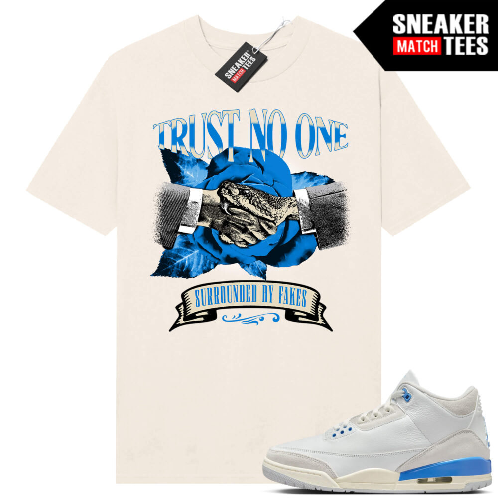 Sneaker Match Tees Clothing | Official T shirts to Match Jordan Sneakers